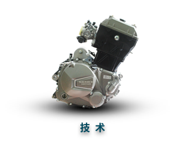SENKE MOTOR